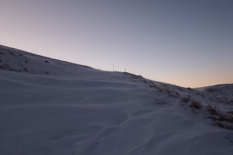 Colorado Mines Peak – 12,493 & Mt Flora – 13,129 – Wild Wanderer