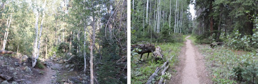 Chicago Basin / Ruby Basin Approach from Purgatory Trailhead – Wild ...