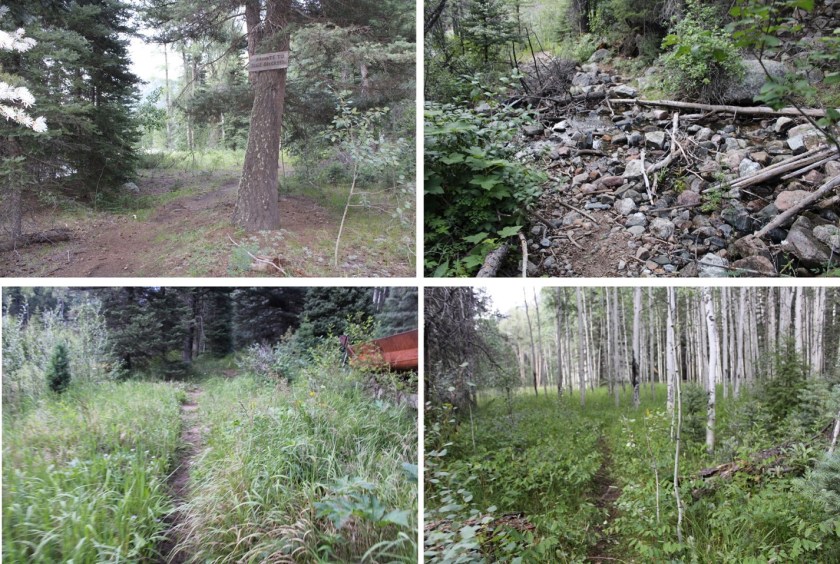 Chicago Basin / Ruby Basin Approach from Purgatory Trailhead – Wild ...