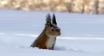 Cold Weather Hiking Tips – Wild Wanderer