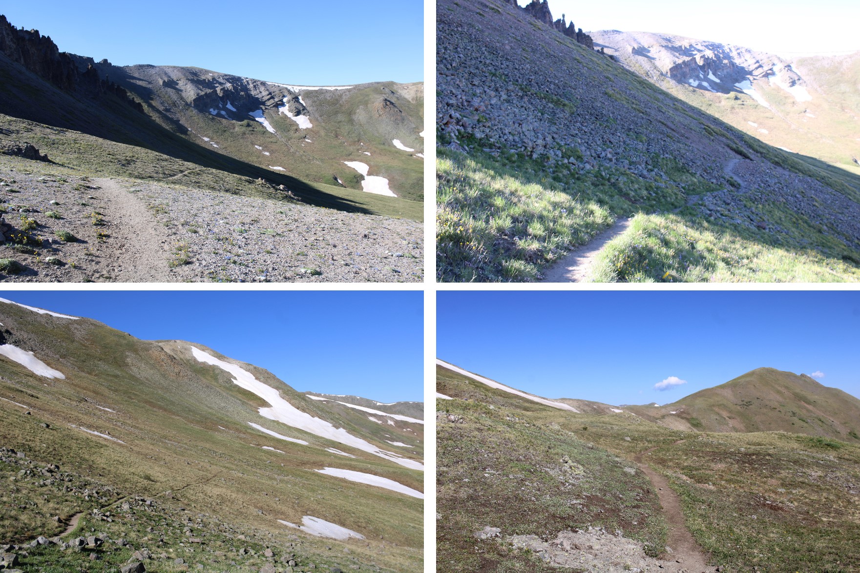 15-4 – Wild Wanderer