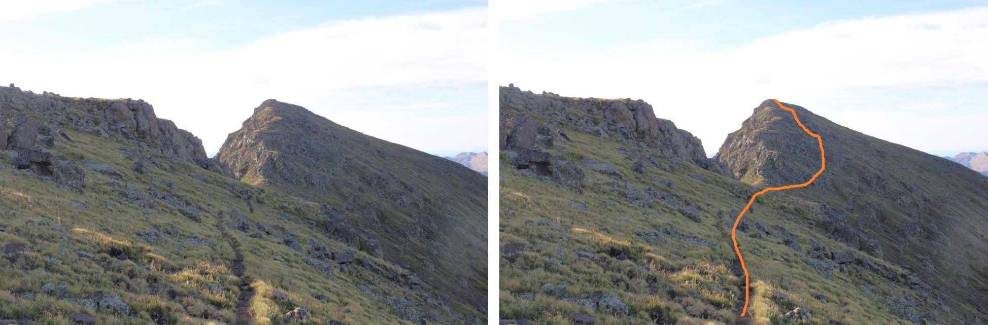 23 – Wild Wanderer