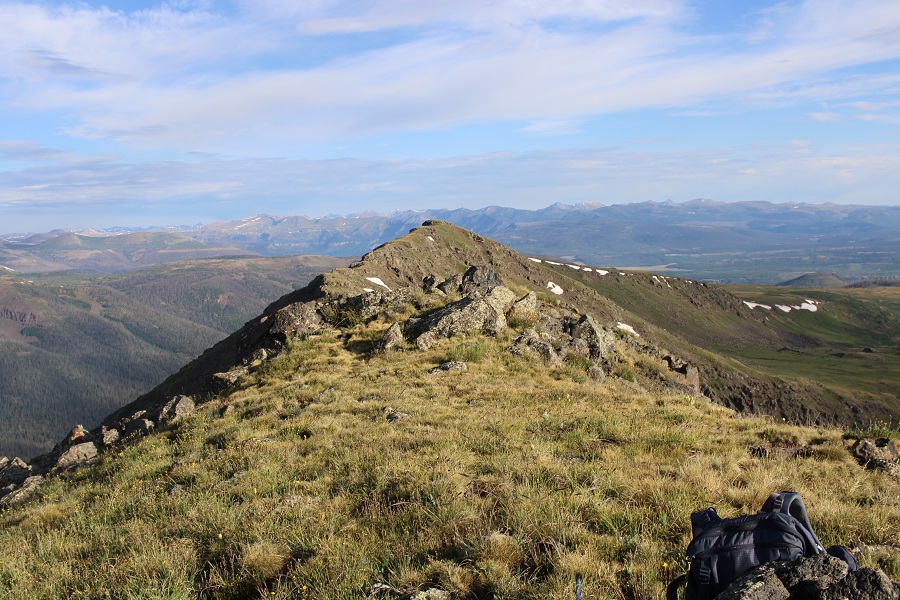 28 – Wild Wanderer